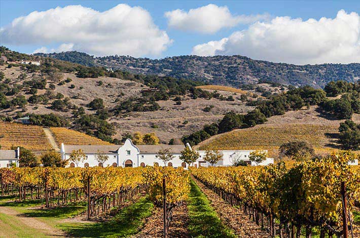 winery-image - Gilles Robin
