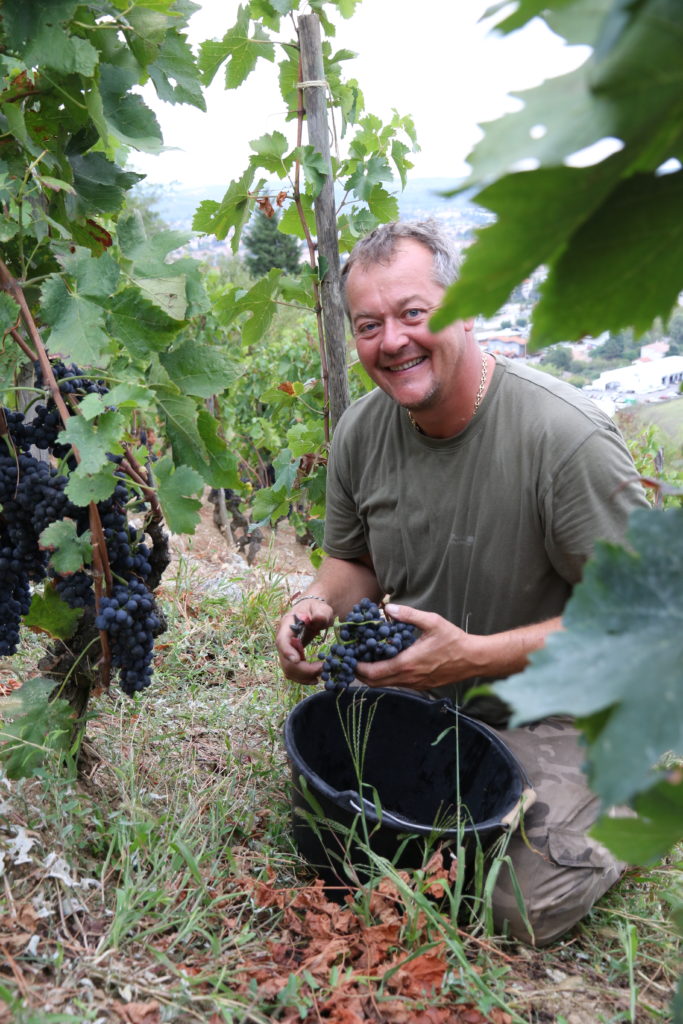 Vignoble & Production Vin Gilles Robin | Saint-Joseph, Crozes-Hermitage